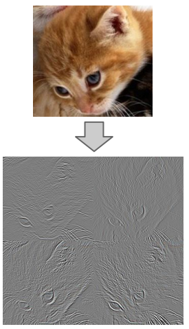 Ayoub Benali Amjoud - Selective Search Algorithm For Object Detection ...